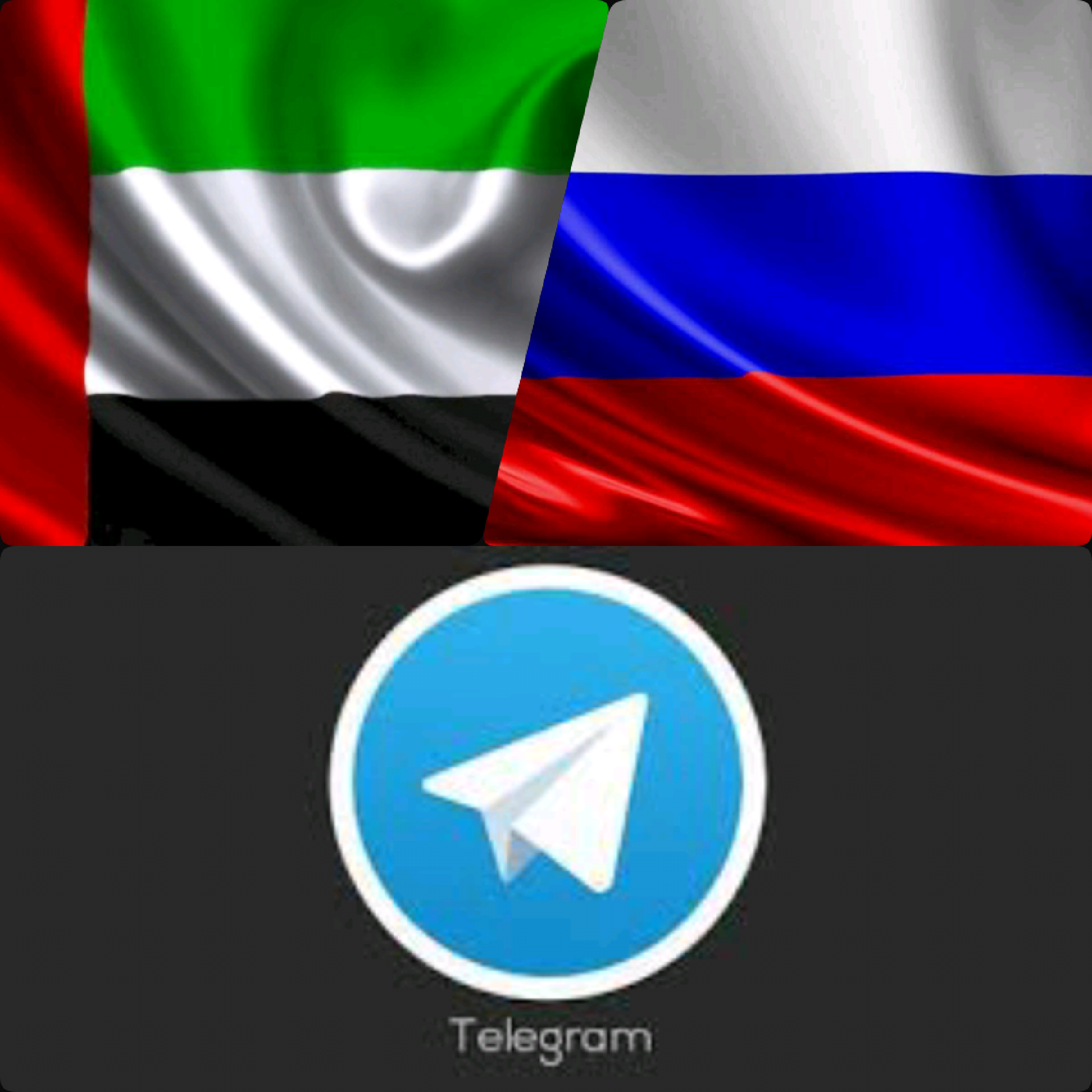 دعم إماراتي غير محدود لشبكة تليجرام الروسية